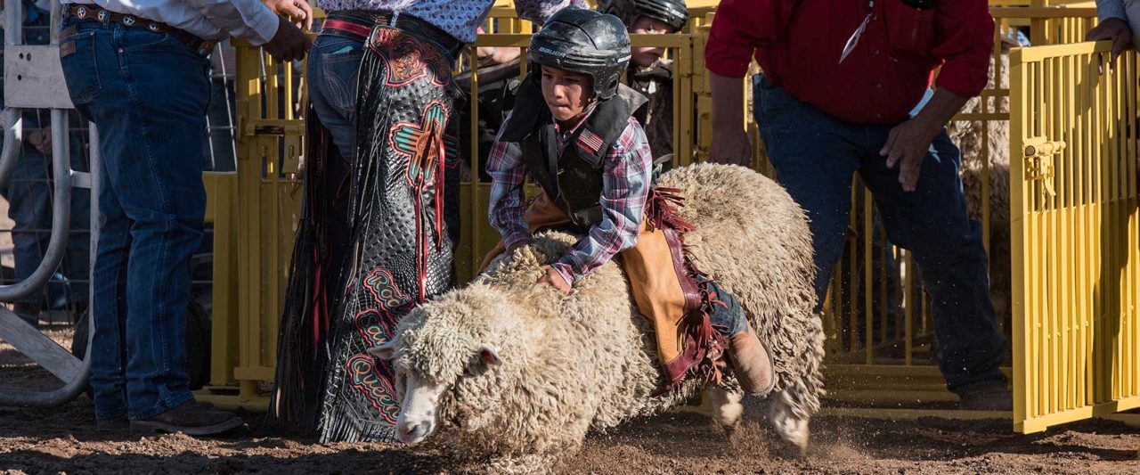 Participate | Rodeo de Santa Fe
