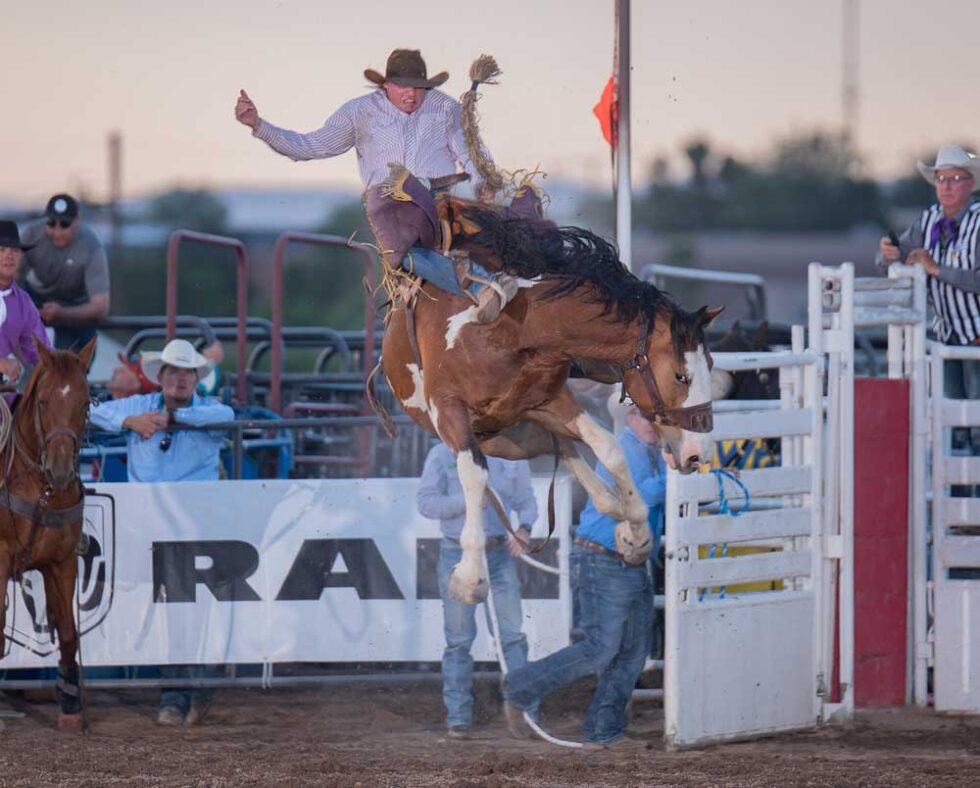 Fresh and Familiar Faces | Rodeo de Santa Fe